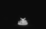 Inside The Blind Iris - Douglas Bernardt & Botis Seva - Sadler's Wells ...
